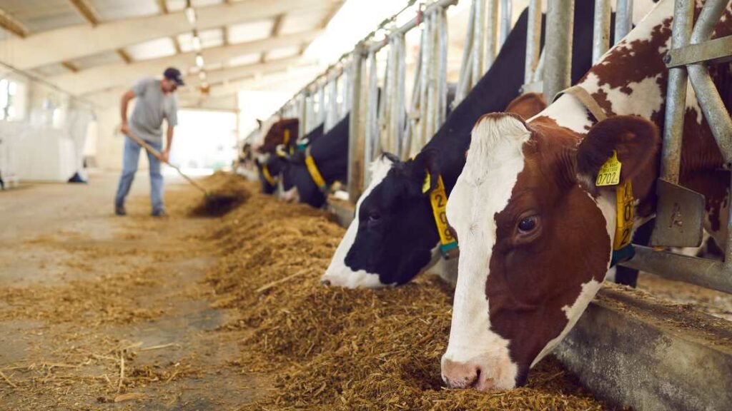 How Much Does It Cost To Start A Farm? Professional Guide
