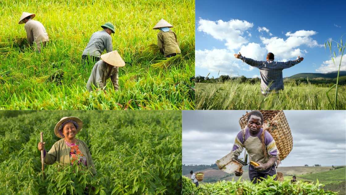 How Much Does It Cost To Start A Farm? Professional Guide